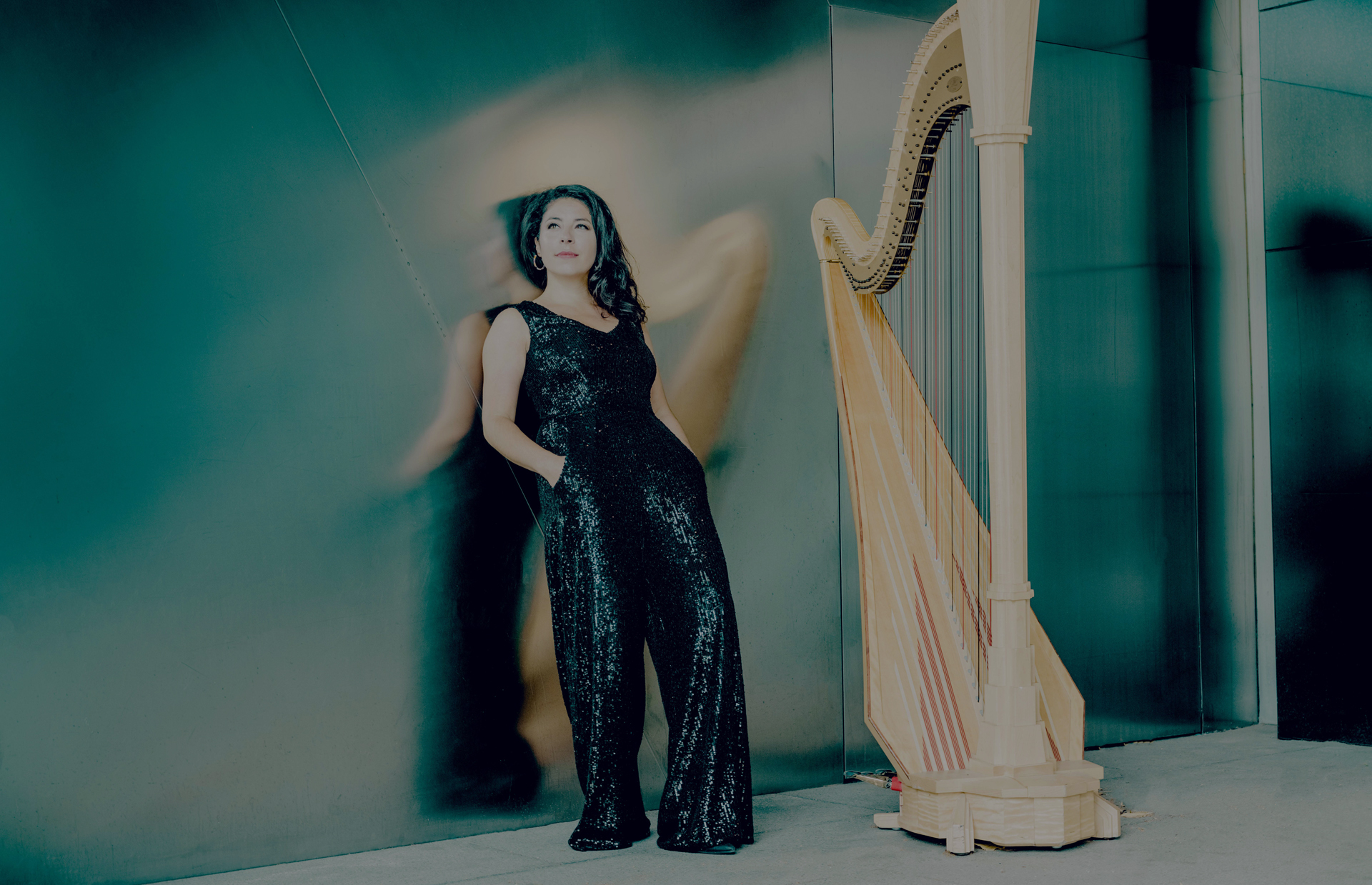 The art of the harp. Anneleen Lenaerts